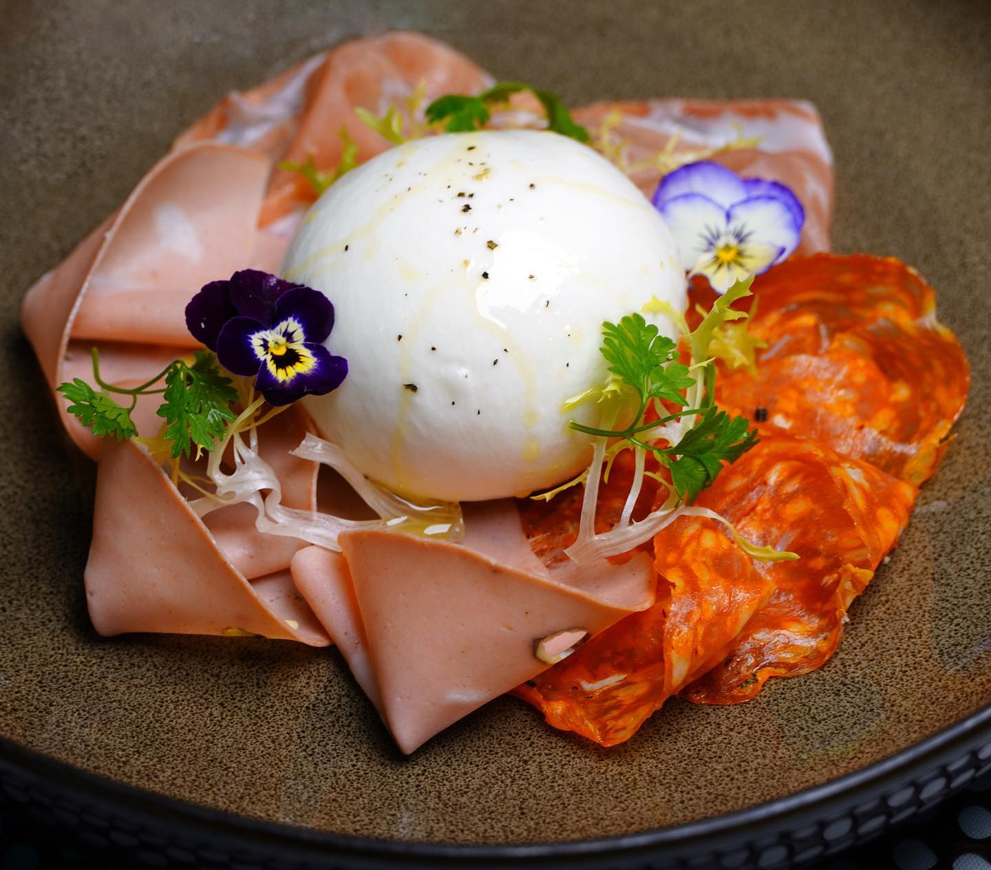 Garibaldi -> Garibaldi Pte | Garibaldi Pte Ltd