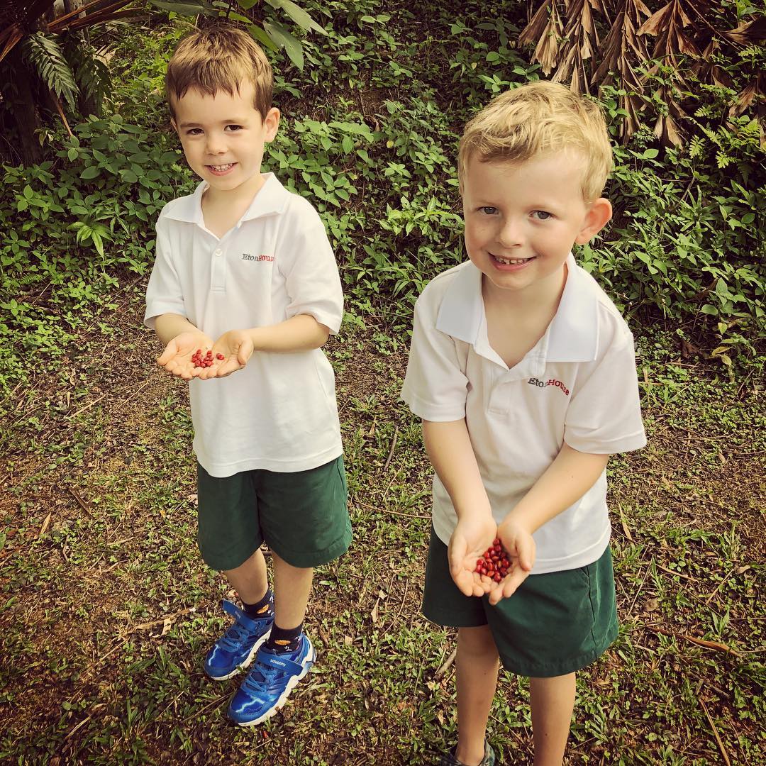 Wildlings @ Core Collective Dempsey