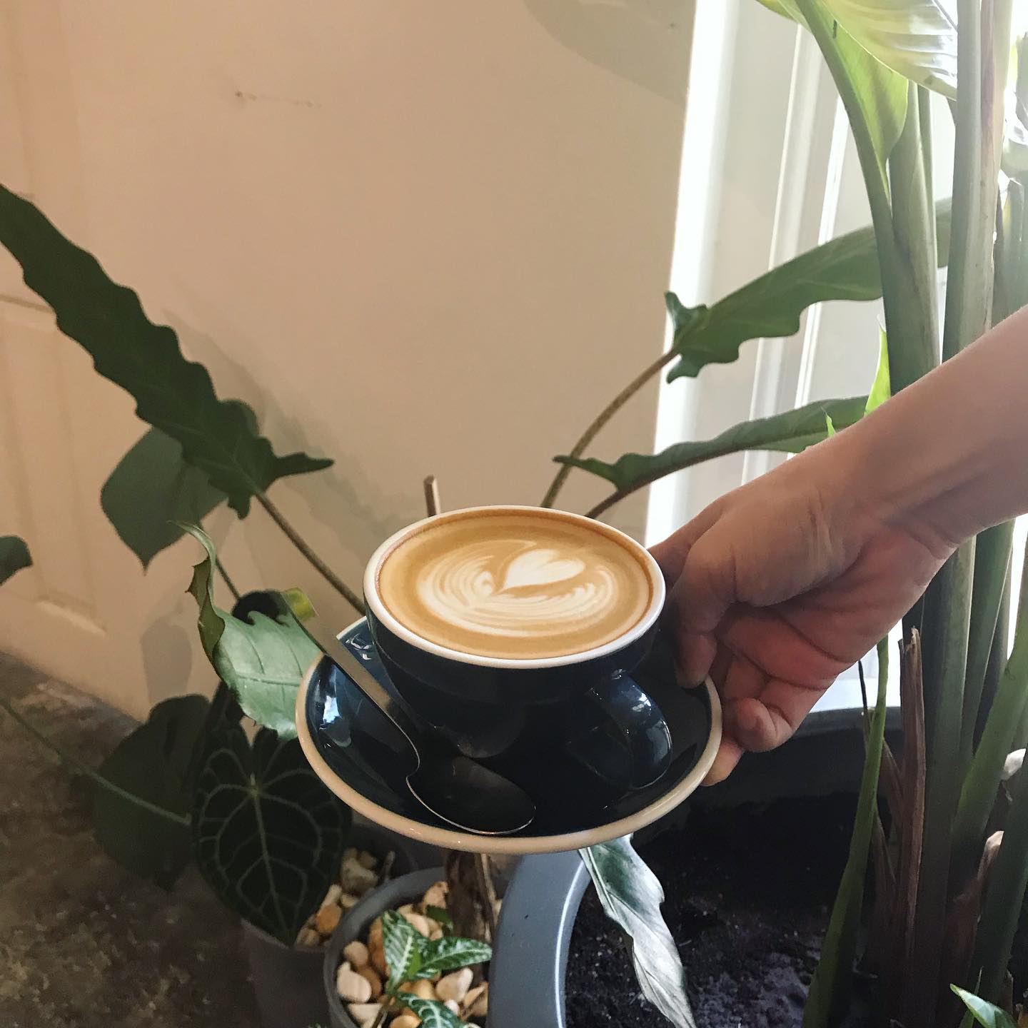 Twenty Eight Cafe @ Sophia Flats