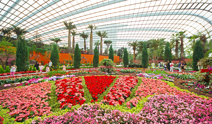 Singapore City Tour with Gardens by the Bay Admission @ Gardens by the ...