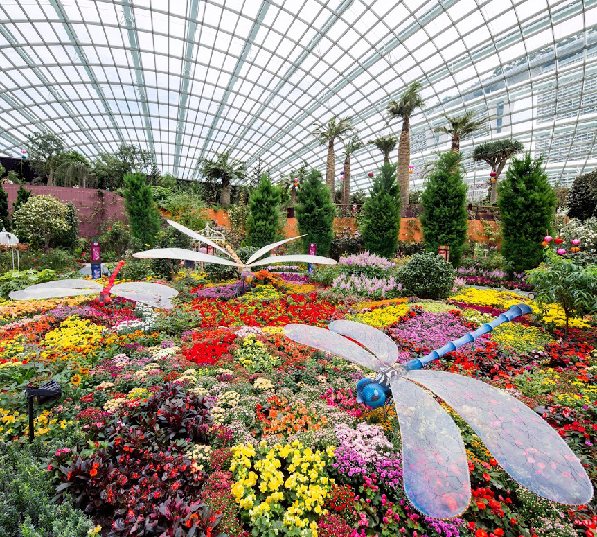 Singapore City Tour with Gardens by the Bay Admission @ Gardens by the ...