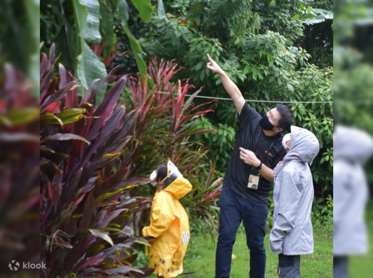 The Last Kampong of Singapore Private Tour @ Kampong Lorong Buangkok
