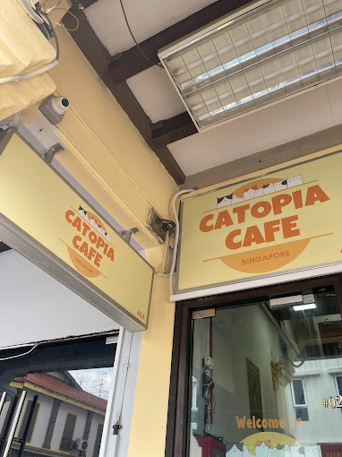 Catopia @ RedDot Kitchen