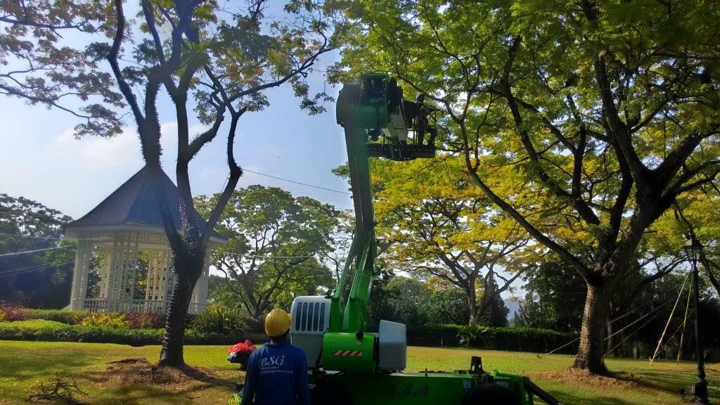 BSG Landscape & Construction Pte Ltd @ Northpoint Bizhub