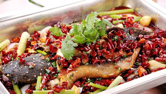 Dating Fish Music Theme Restaurant @ Dating Fish Restaurant