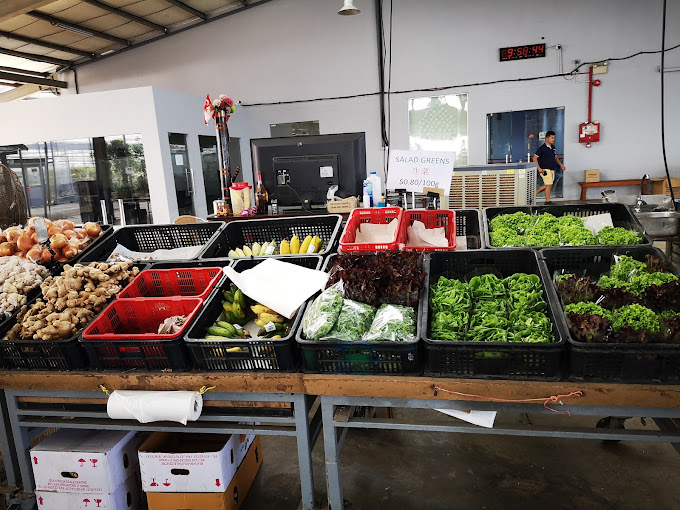 Kok Fah Technology Farm Tour @ Choa Chu Kang MRT Station (NS4)