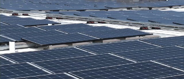 Solargy Pte Ltd @ Pek Chuan Building